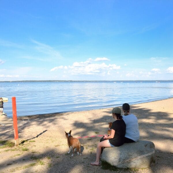 Top Edmonton-Area Beaches for Soaking Up the Sun! - Edmonton Stickers